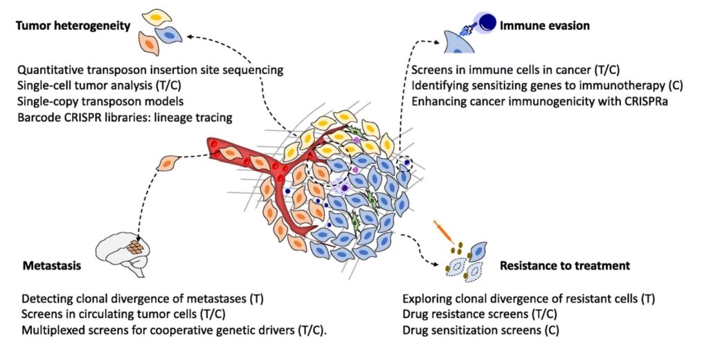 Decoding the genetics of cancer - Prostate Cancer Research